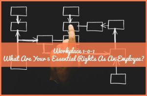 Workplace 101: What Are Your 5 Essential Rights As An Employee? - New To HR